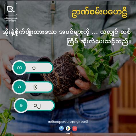 အစိမ်းရောင်လမ်း အစိမ်းရောင်လမ်းရဲ့ ဉာဏ်စမ်းအစီအစဉ်