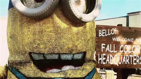 Lanoha Nursery Omaha Youtube