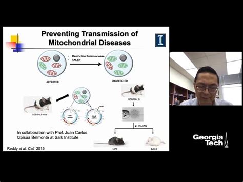 Free Video Challenges And Opportunities At The Nexus Of Synthetic