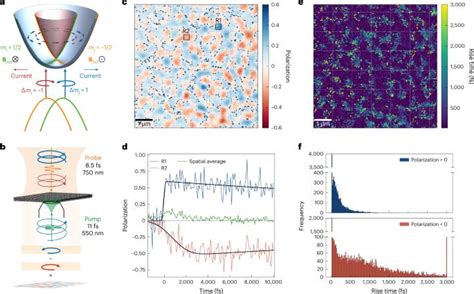 Angus Mathieson On Linkedin Local Symmetry Breaking Drives Picosecond Spin Domain Formation In…