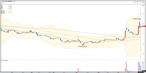 레이저옵텍 주식 분석 주가 전망 배당금 및 목표 주가