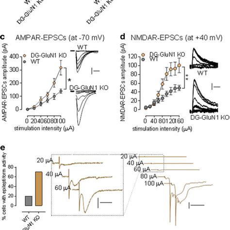 A B Nmdar Ampar Ratio Values From Neurons In Cont Gray Circles Download Scientific Diagram