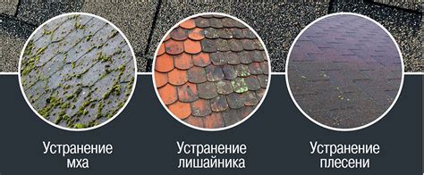 Медная защита от мха StopMOSS