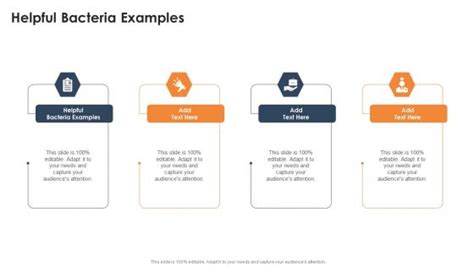 Helpful Bacteria Examples Powerpoint Presentation And Slides Slideteam