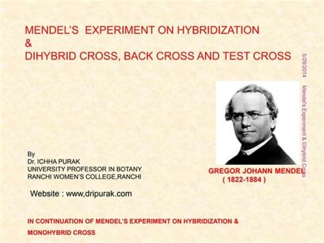 51 Mendels Experiments Ppt