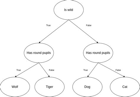 How To Build A Machine Learning Model In Rust