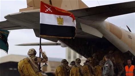 صدى الجزائر الأمم المتحدة تشيد بجهود مصر في مكافحة الأرهاب