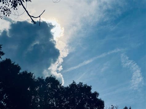 Very Large Scale Integration Snakepit