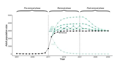 Population Size Of Invasive Toads Estimated By A Stage Structured Model Download Scientific