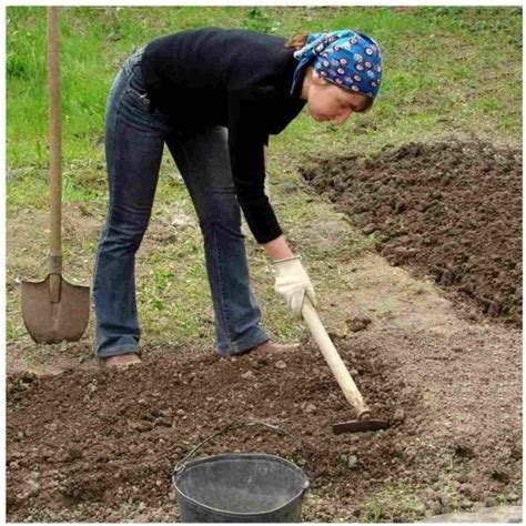 Spade For Gardening Or Digging Agriculture Tool Kassi Fawda