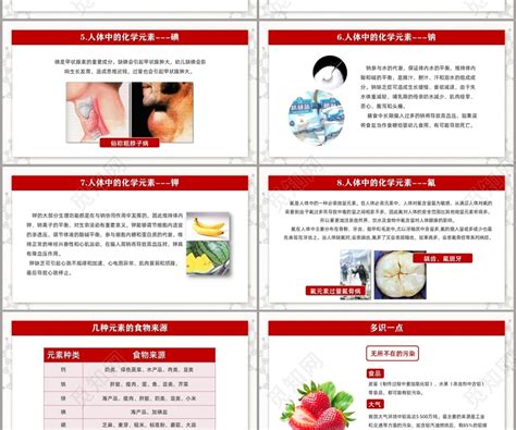白色简约化学元素与人体健康PPT模板下载 觅知网