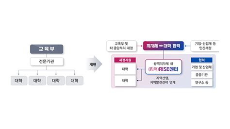대구시 지역혁신중심 대학지원체계 시범지역 최종 선정