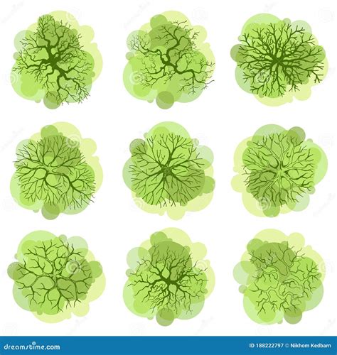 Trees Top View For Landscape Vector Illustration Stock Vector