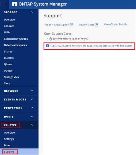 Unable To Reach Active Iq Digital Advisor From The Ontap System Manager Capacity View Netapp