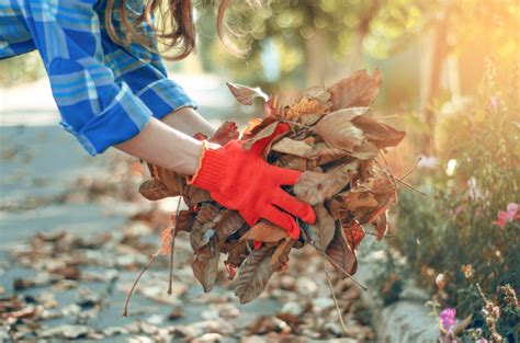 Yoderbilt How To Fall Prep Your Garden