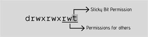 Set Special File Permissions With Suid Or Guid And Sticky Bit In Linux