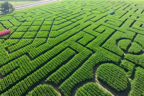 10 Best Corn Mazes Near Los Angeles