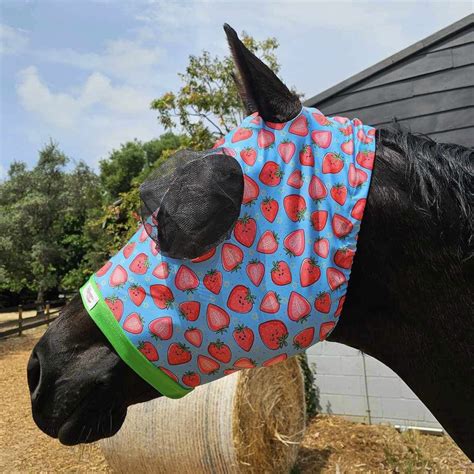 Galloway Size Stawbs Green Trim With 74 Uv Insect Mesh Buggez Bugeyes