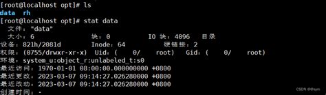 Linux文件系统和日志分析xfs系统模拟inode号满 Csdn博客