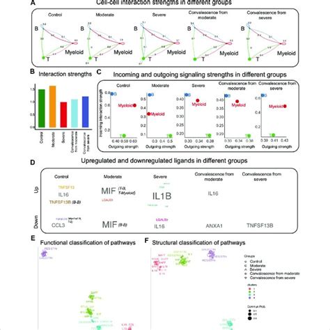 Cci Analysis Using Cellchat Focused On The Mif Pathway A Information