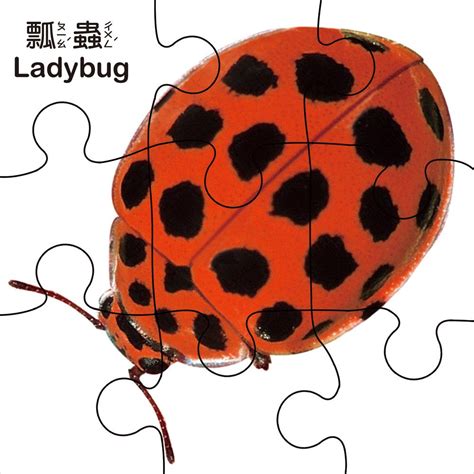 Baby遊戲小拼圖 昆蟲世界 168幼福童書網