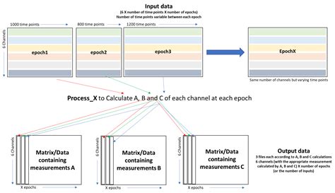 Custom Process For Individual Epochs With Different Time Samples Discussions Brainstorm