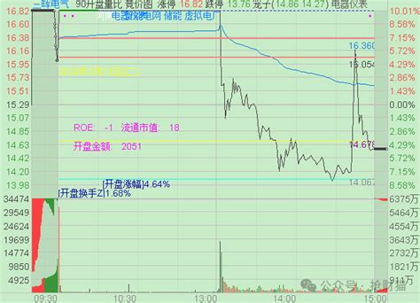 2024 3 12尾盘一致转分歧