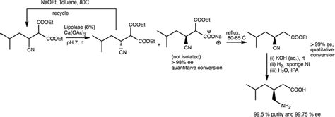 Enzyme Catalyzed Synthesis Of Pregabalin Download Scientific Diagram