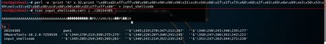 注入shellcode并运行攻击 冻它蛙瑞 博客园