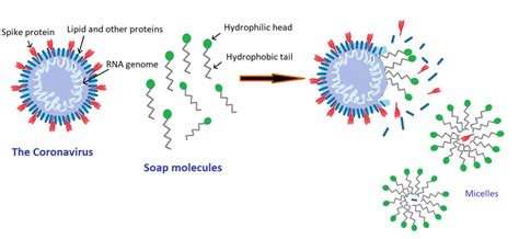 Analyzing Cleaning Of Hard Surfaces Using Qcm D Nanoscience Instruments