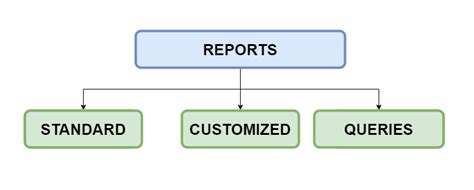 What Is Ricefw In Sap