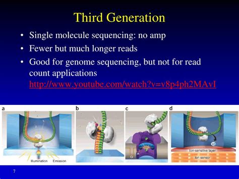 Ppt High Throughput Sequencing Powerpoint Presentation Free Download
