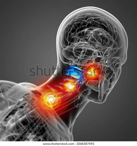 3d Rendering Medical Illustration Cervical Spine Stock Illustration