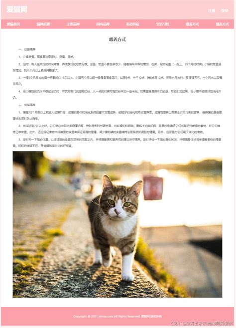 Html5css期末大作业：宠物网站设计——宠物猫10页 含设计报告 Htmlcssjavascript 大学生简单个人静态html