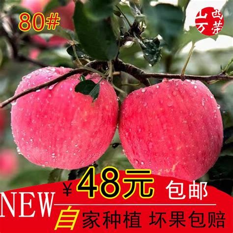 山西运城万荣红富士苹果临猗当季冰糖心甜脆新鲜现摘水果10斤包邮虎窝淘