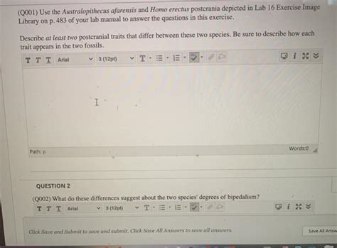 2001 Use The Australopithecus Afarensis And Homo