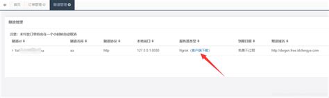 什么内网穿透？如何使用内网穿透？ csdn博客