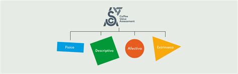 Nuevo Protocolo De Cata Cva 2025 Evaluación Del Valor Del Café