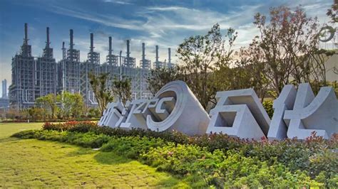 浙江石油化工有限公司招聘（6月）