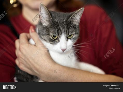 Cute Scared Cat Kind Image And Photo Free Trial Bigstock