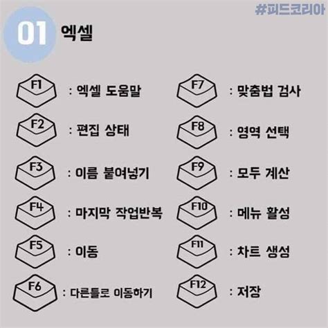 피드코리아 컴퓨터 수행평가할 때 도움되는 단축키 모음zip💗 ⠀ 꿀팁 저장ㄱㄱ
