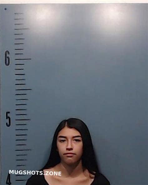 Duran Cloe Nicole Dolores 07232024 Taylor County Mugshots Zone