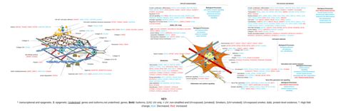 Molecular Diagram Of Ecm And Ecm Fibroblast Interactions Overlaid With
