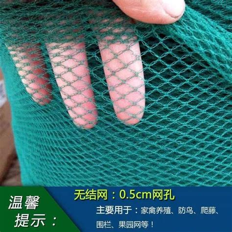 养鸡网网箱养殖网专用天网果园防鸟尼龙网鱼网拉网家禽网围栏户外虎窝淘
