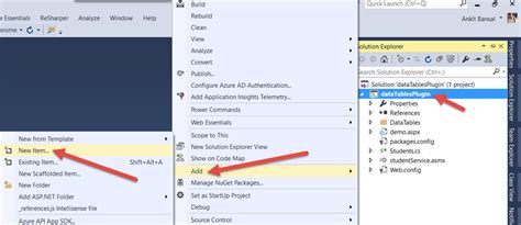 Display Data In ASP NET Using JQuery DataTables Plugin
