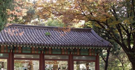 단풍과 햇살 아래에서 여유 한 잔