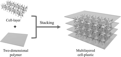 Schematic Model Of The Concept Of This Work Download Scientific Diagram