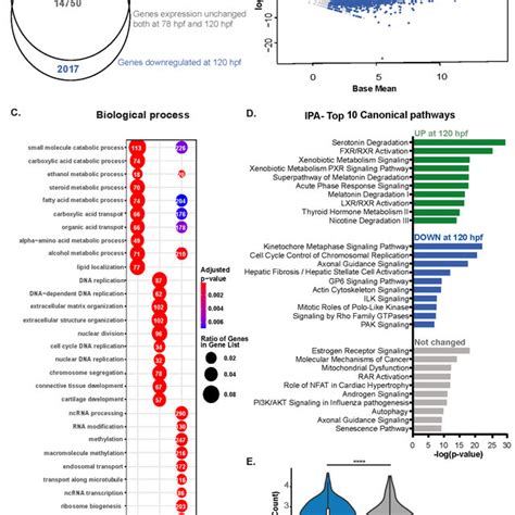Expression Of Genes Involved In Signaling Pathways Enriched During