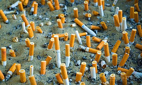 Англи улсад тамхичдын тоо хамгийн бага хэмжээнд хүрлээ