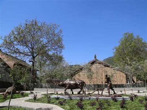 在这十家民宿里5 1和孩子一起找回童年 唯美乡村